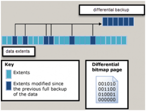 A Guide For Creating a Differential Backup In SQL Server
